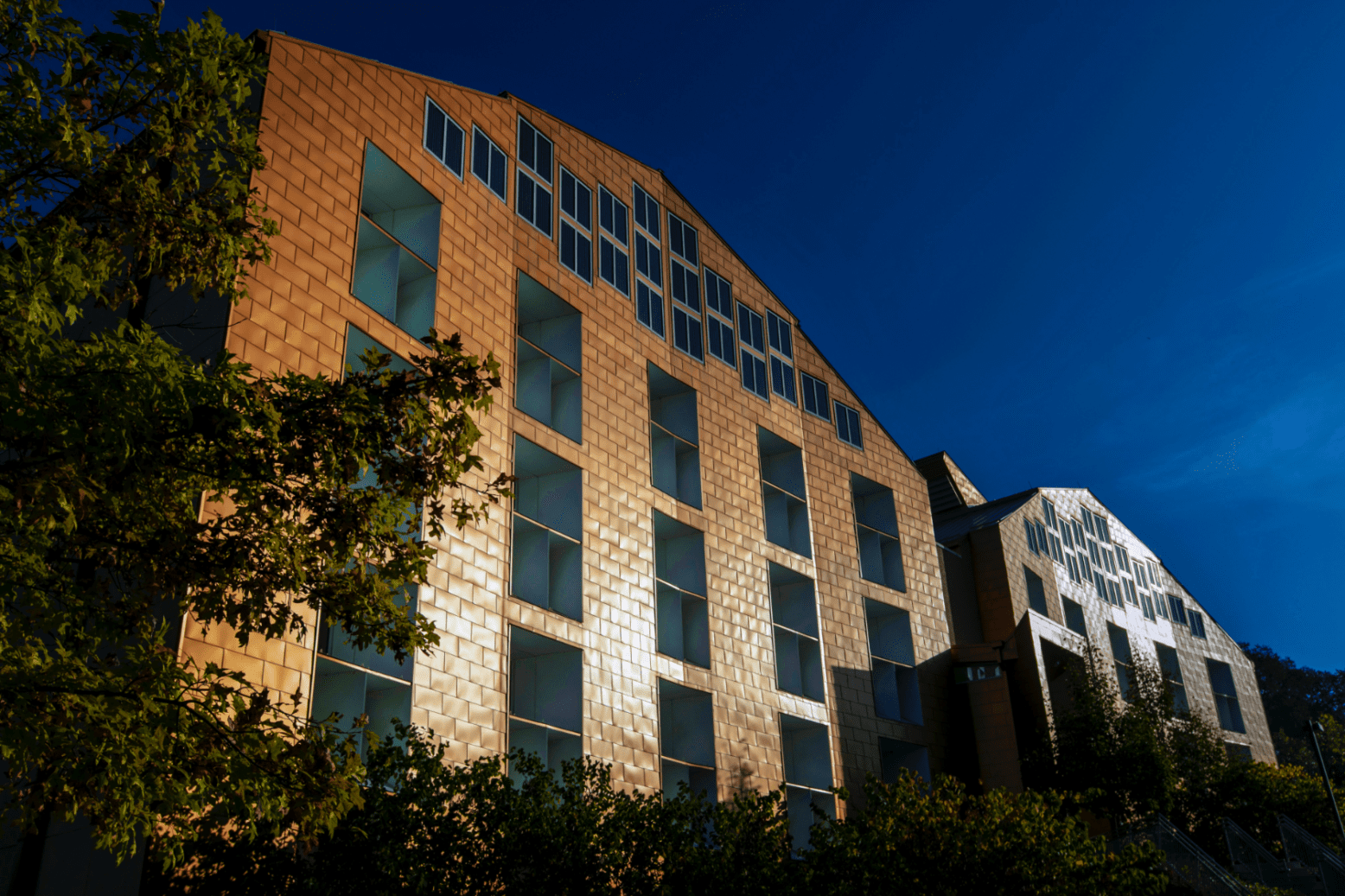 Christian College in Illinois | Judson University