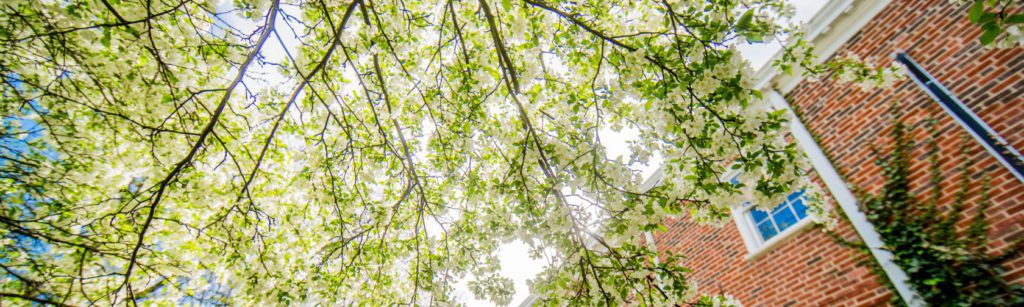 About Judson University | Top Ranked Christian College in Illinois